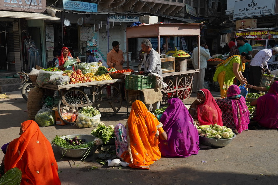 Pushkar_5 – SUSANNA SEMLITSCH